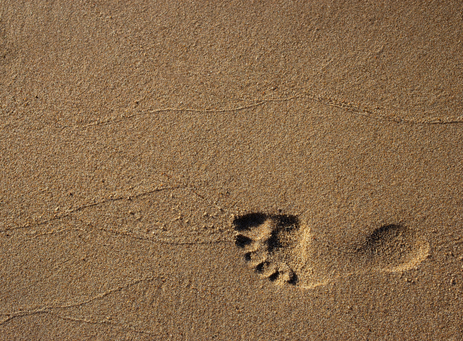Let’s talk carbon footprints!
