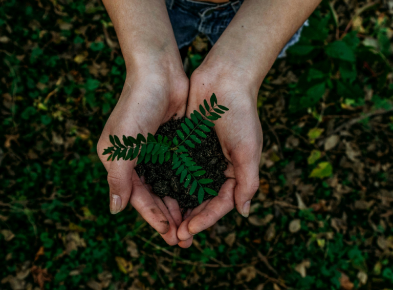Local environmental resources for Toronto